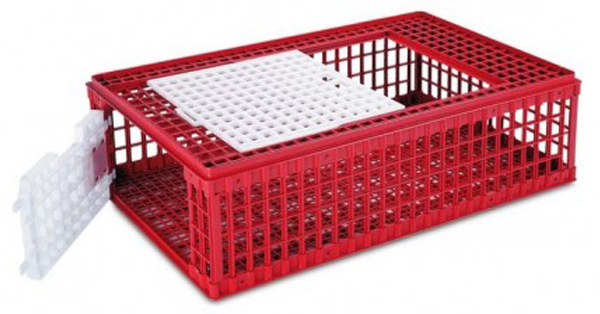 Přepravky na drůbež - Lihneme.cz